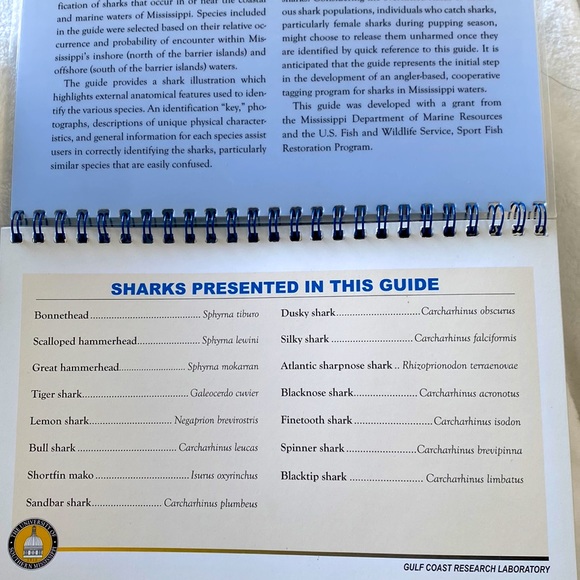 Other | Identification Guide To Sharks Of Mississippi By Dr Eric ...